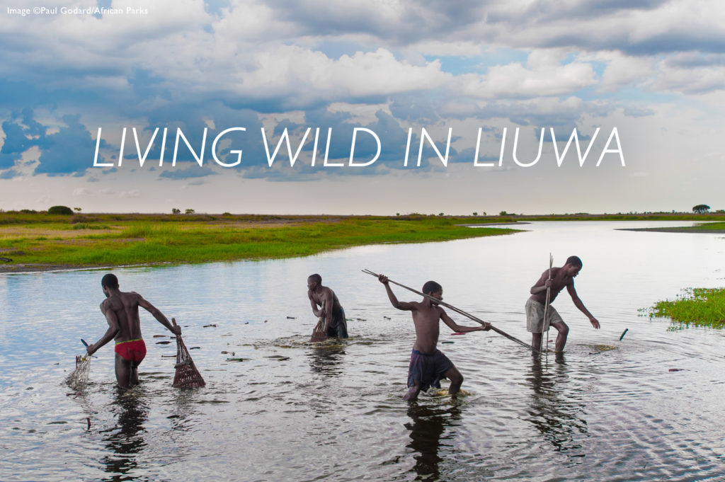 Living Wild in Liuwa - Africa Geographic