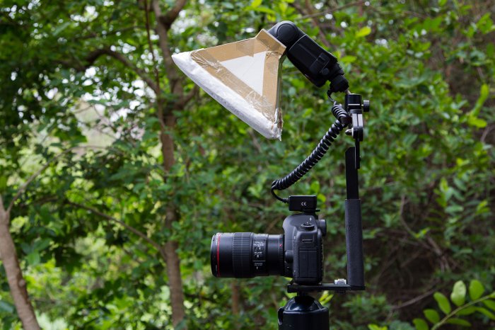 10 tips for macro photography - Africa Geographic