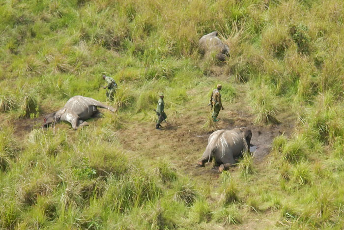 Poaching Sites
