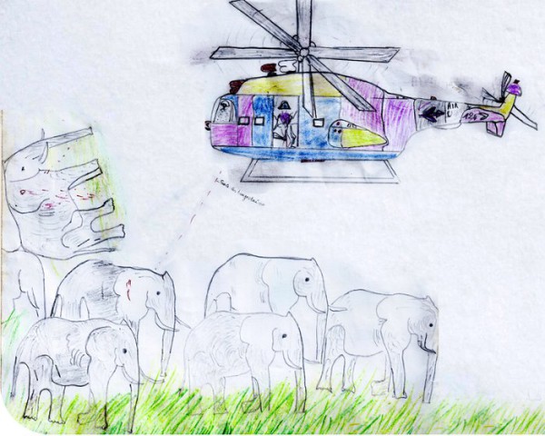 elephant poaching Archives - Africa Geographic