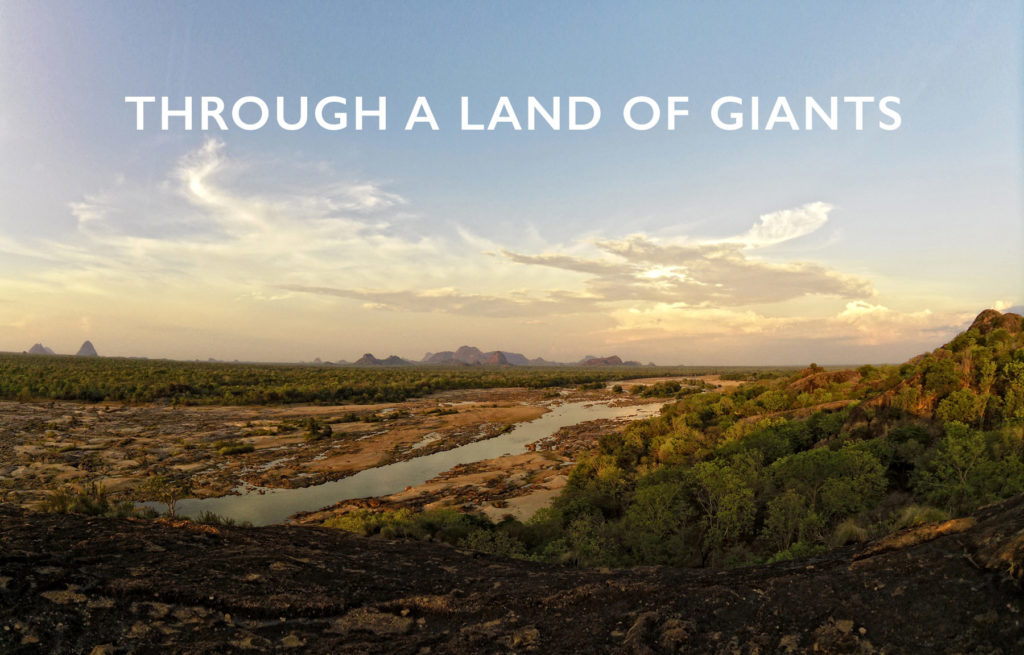 Through a Land of Giants - Africa Geographic