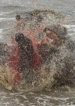 Graphic content: Baby hippo killed by its pod - Africa Geographic