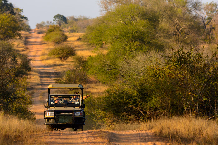 safari-game-drive - Africa Geographic