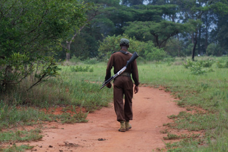 The horror of snares - Africa Geographic