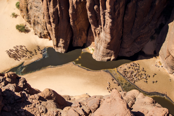 Camels, nomads and an oasis in Ennedi - Africa Geographic