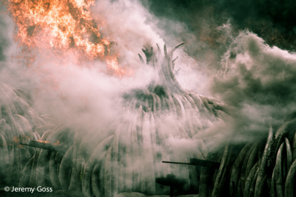 Kenya’s ivory burn: the story in pictures - Africa Geographic