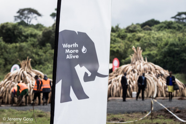 Kenya’s ivory burn: the story in pictures - Africa Geographic