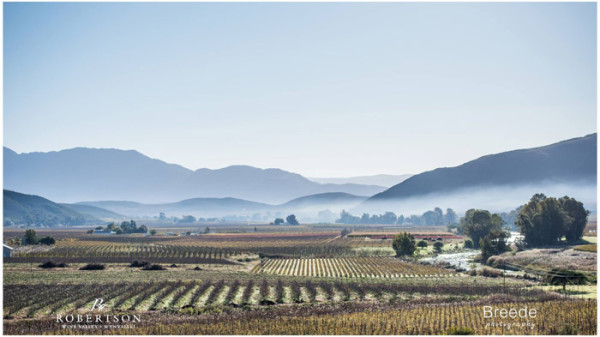 6 things to do in the Robertson Wine Valley - Africa Geographic