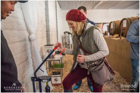 6 things to do in the Robertson Wine Valley - Africa Geographic