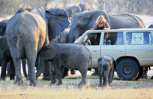 Book Review: Elephant Dawn by Sharon Pincott - Africa Geographic