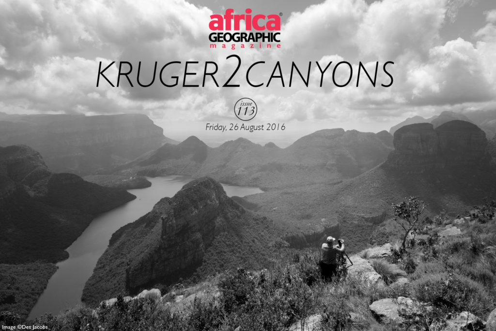 Enjoy a Kruger to canyons safari