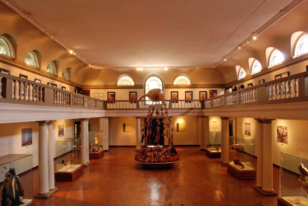 4 must-visit Nairobi museums - Africa Geographic