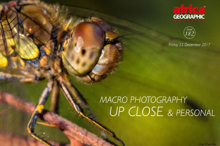 Macro photography: Up close and personal – Africa Geographic