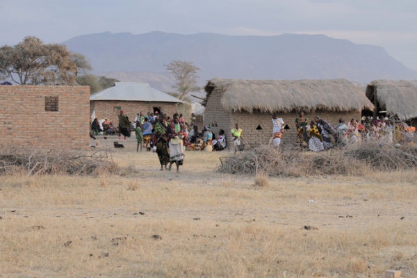 Vibrant festivities at Sukuma weddings - Africa Geographic