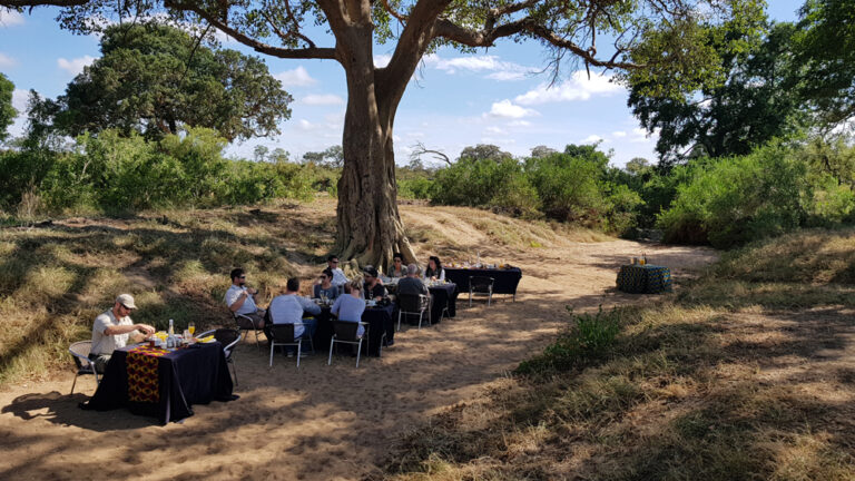 Manyeleti: The Place of Stars - Africa Geographic