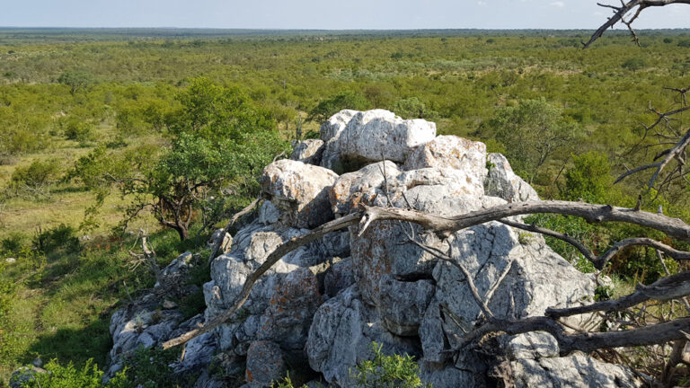Manyeleti: The Place of Stars - Africa Geographic
