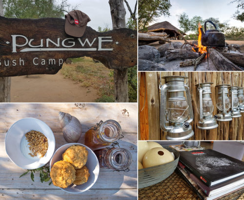 Manyeleti: The Place of Stars - Africa Geographic