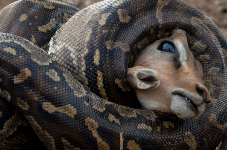 Photographer of the Year 2018 Winners