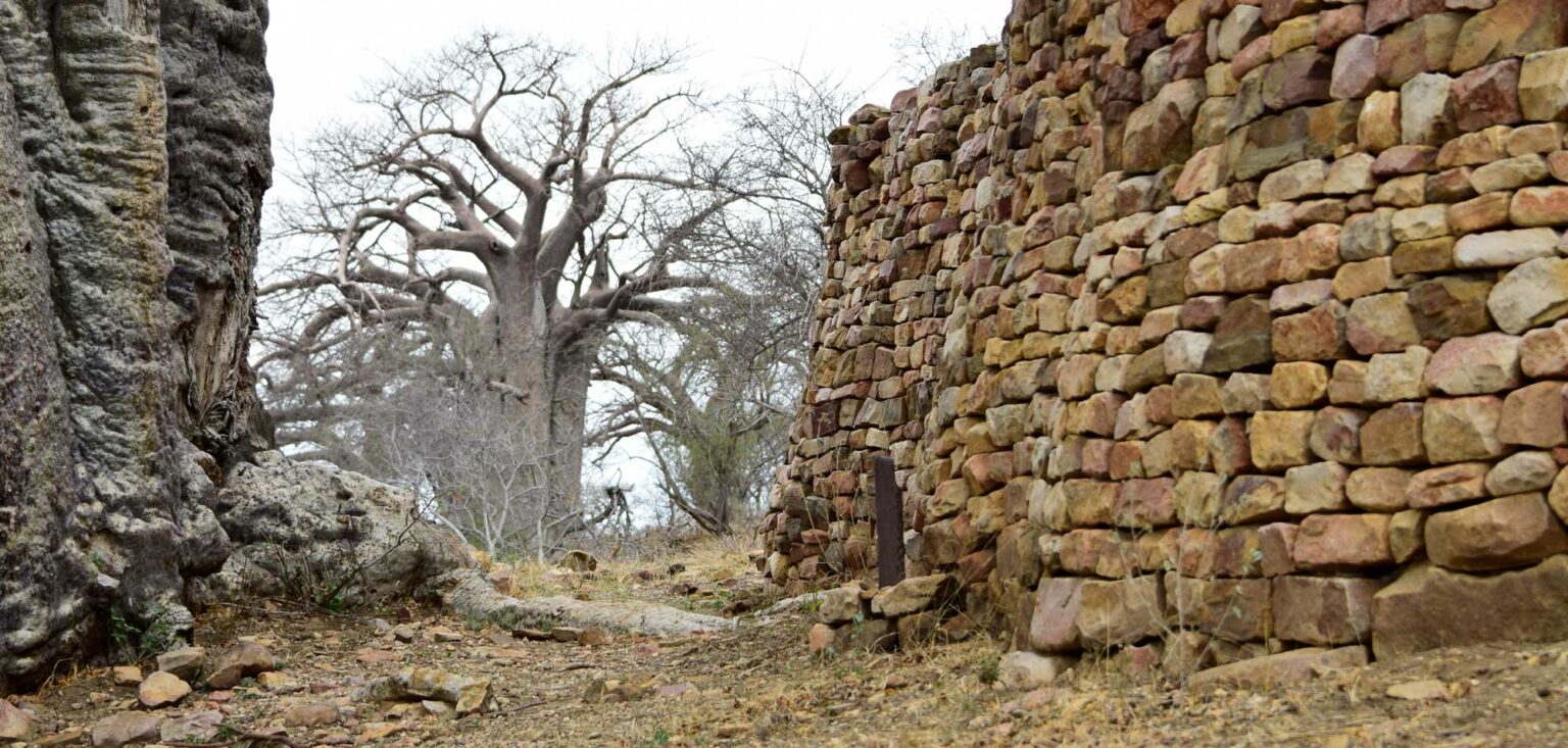 Kruger - history and the future - Africa Geographic