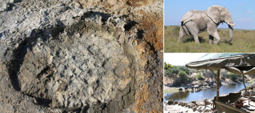 Botswana's Boteti - Africa Geographic