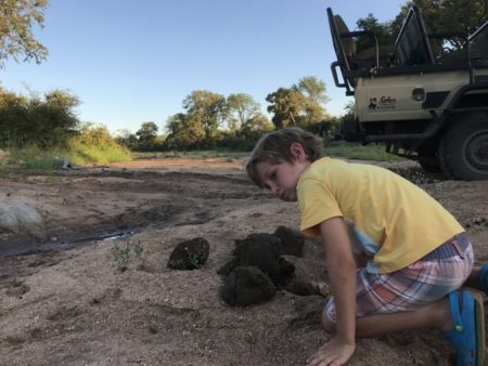 Safari tips: Going on safari with kids - Africa Geographic