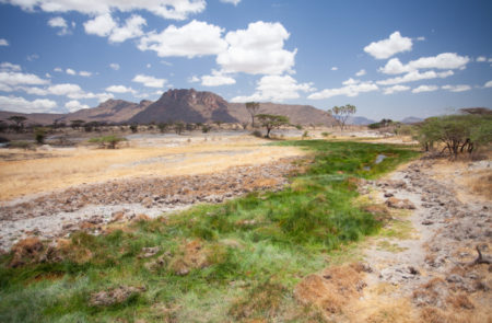 Kenya's Shaba National Reserve: Wild Africa at its best - Africa Geographic
