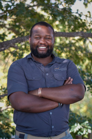 Understanding elephant migration in the world's largest transfrontier ...