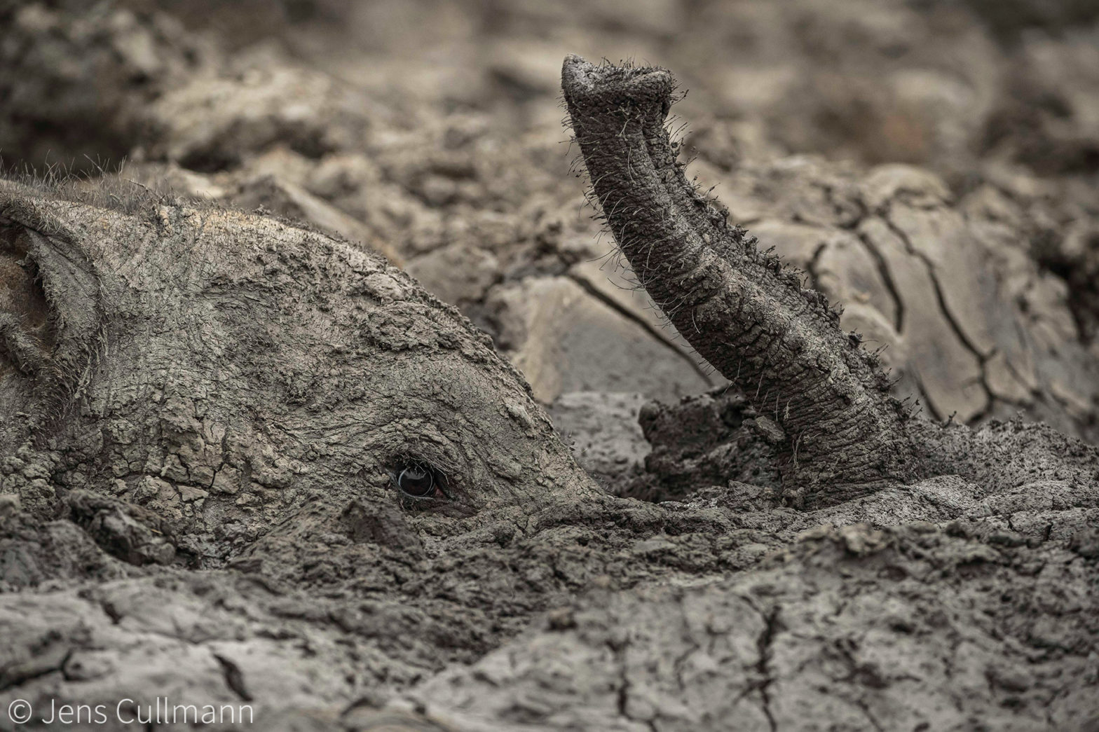 Mud - Africa Geographic