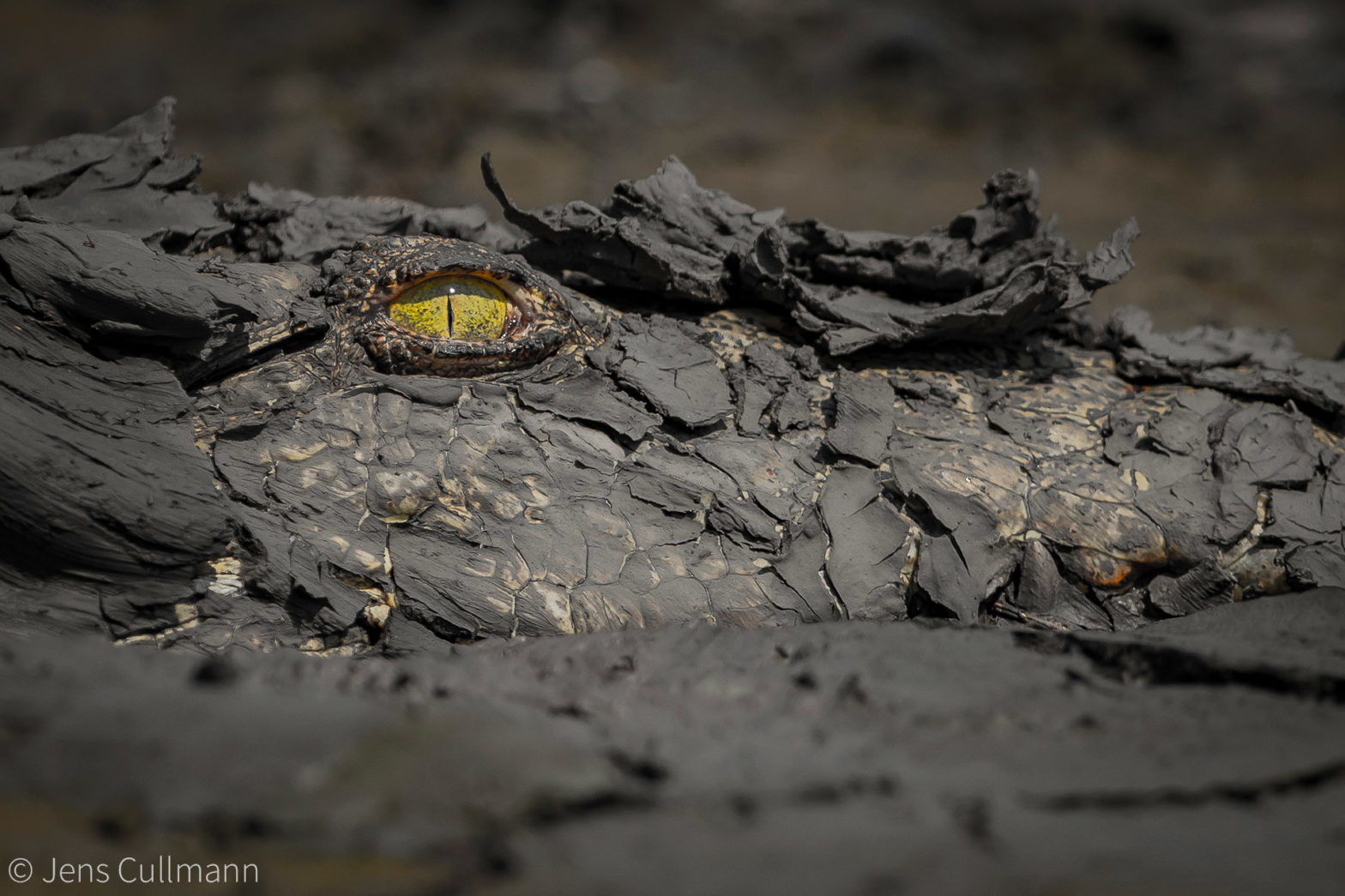 Mud - Africa Geographic