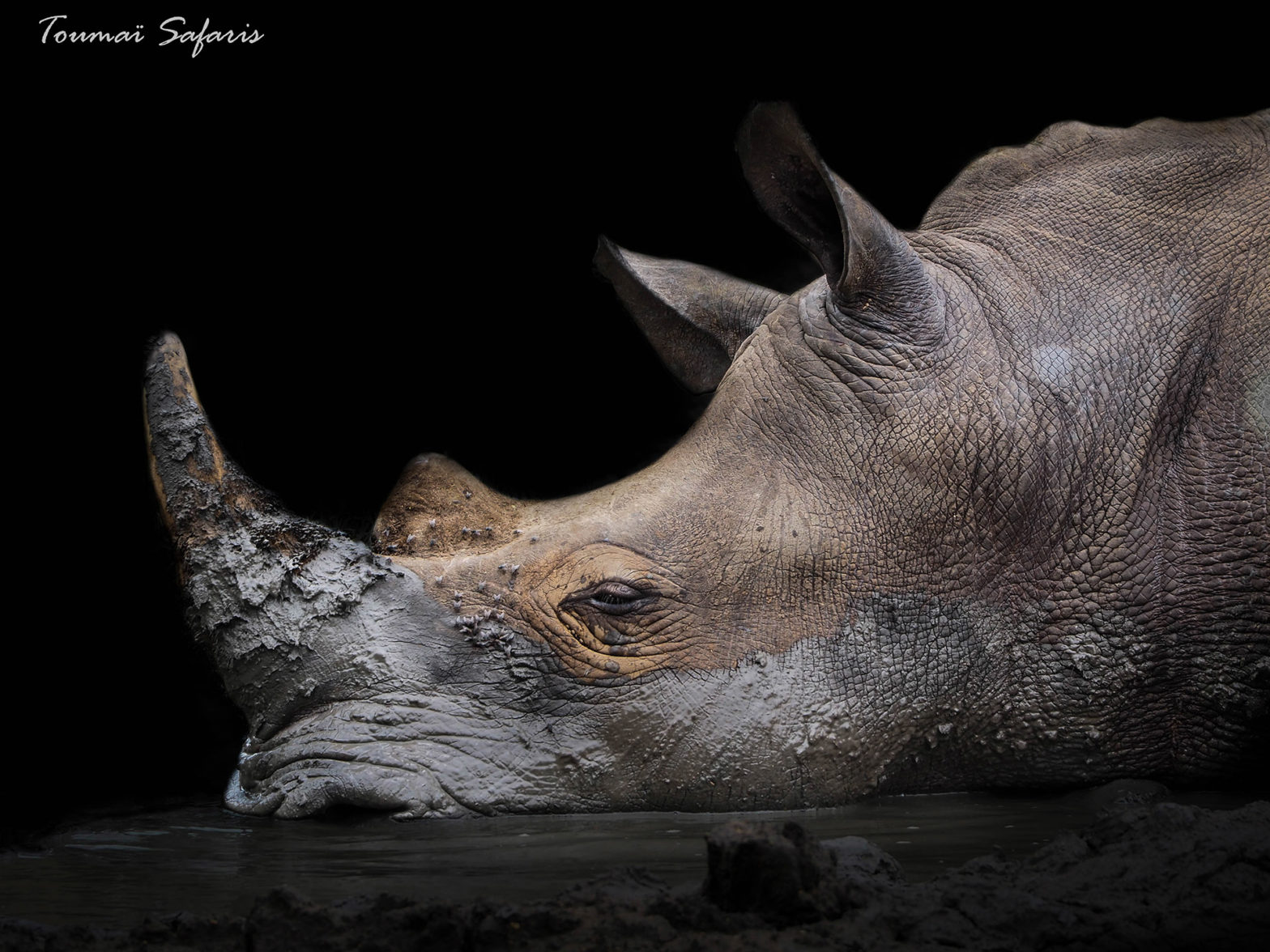 Mud - Africa Geographic