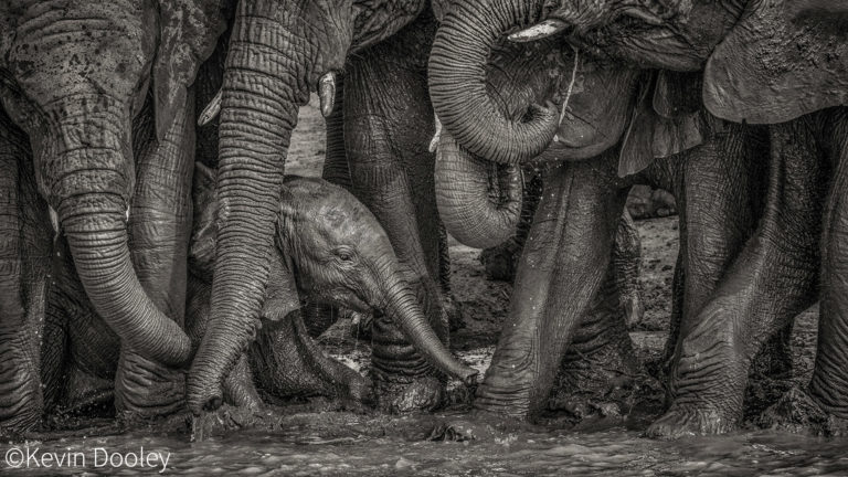 Mud - Africa Geographic