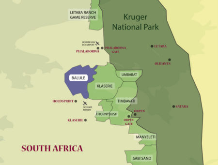 Balule responds regarding traumatising elephant hunt incident - Africa ...