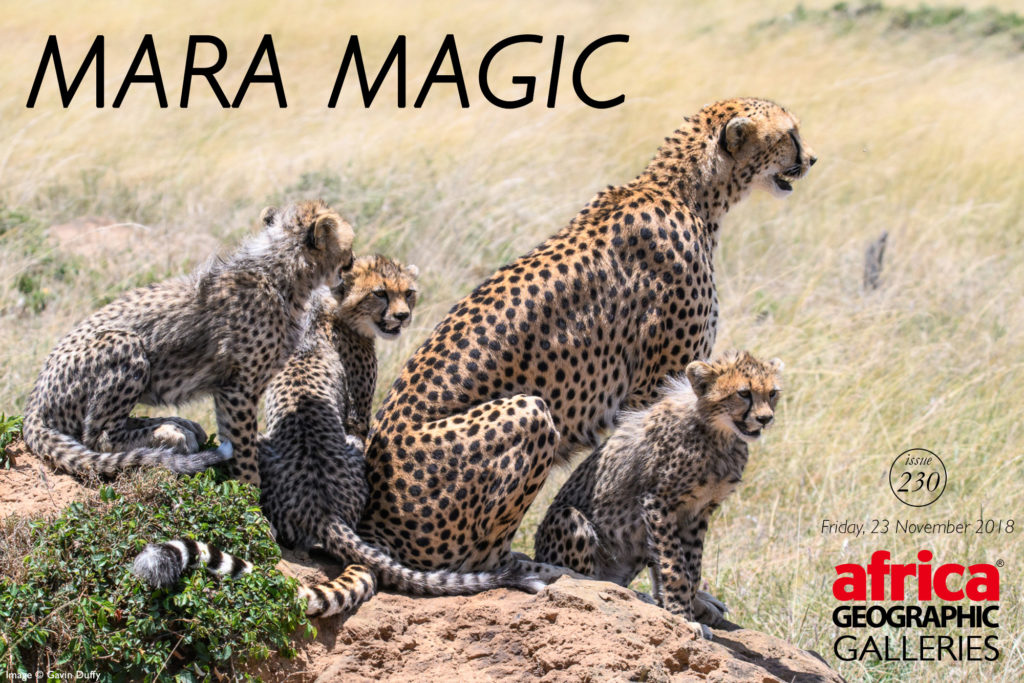 Mara Magic - Africa Geographic