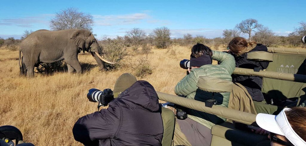 Kruger Glamping - Africa Geographic