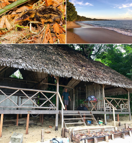 Magnificent Masoala - Africa Geographic