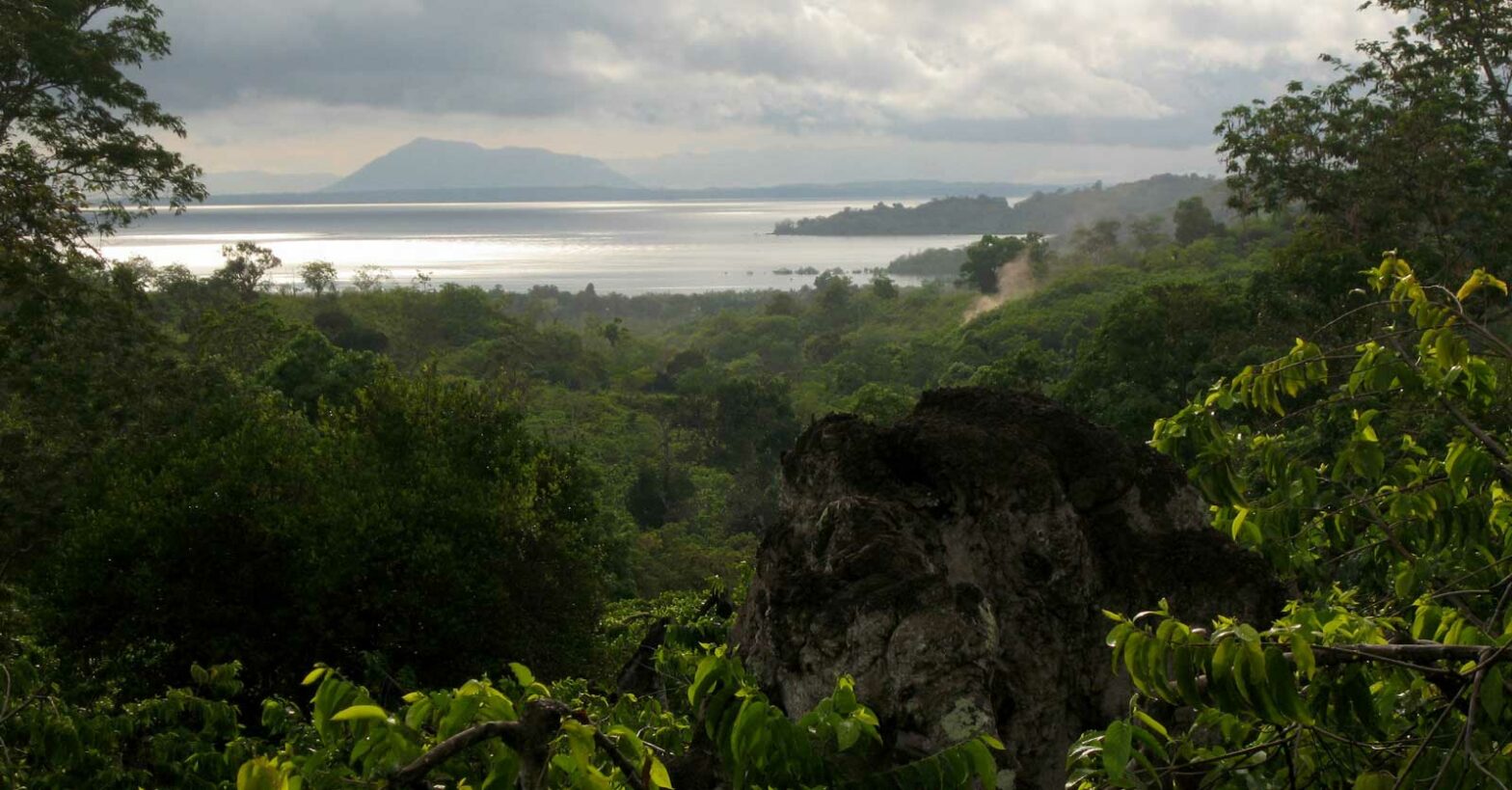 Magnificent Masoala - Africa Geographic