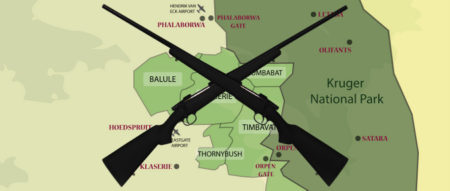 Opinion: Our CEO asks whether the trophy hunting industry could ruin ...