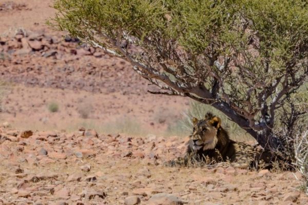 New research study looks to empower Namibian communities to champion ...