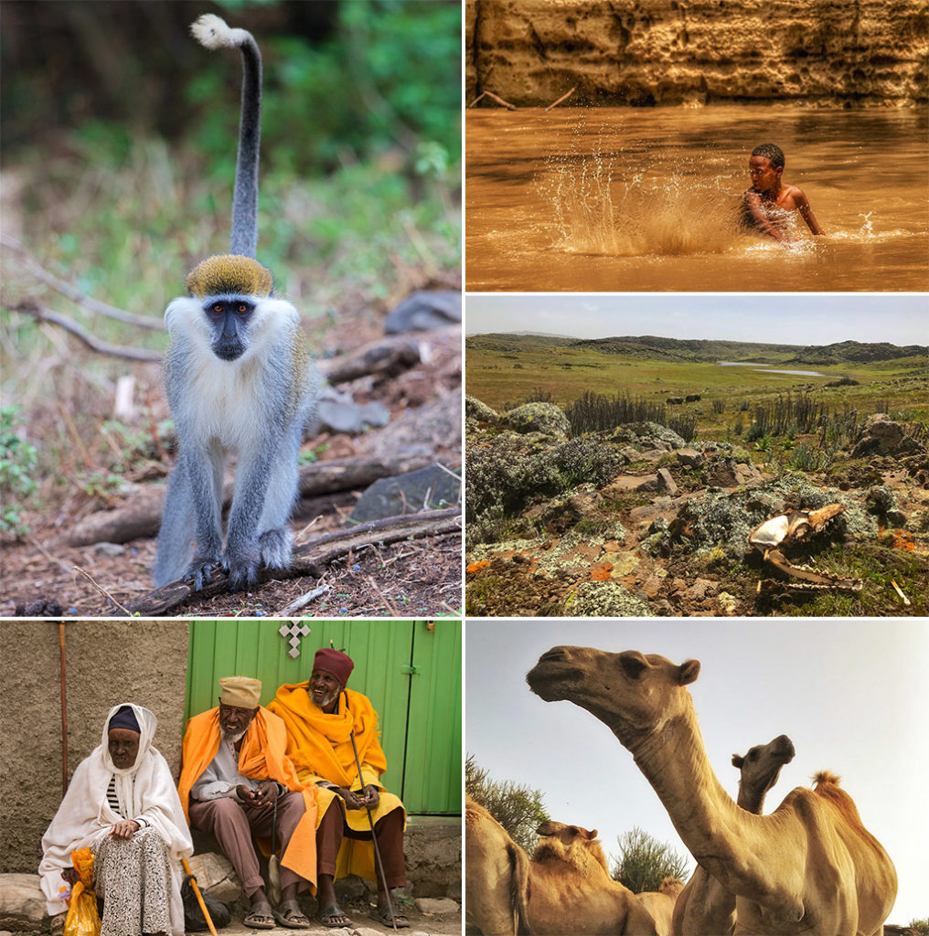 Discovering Ethiopia - Africa Geographic