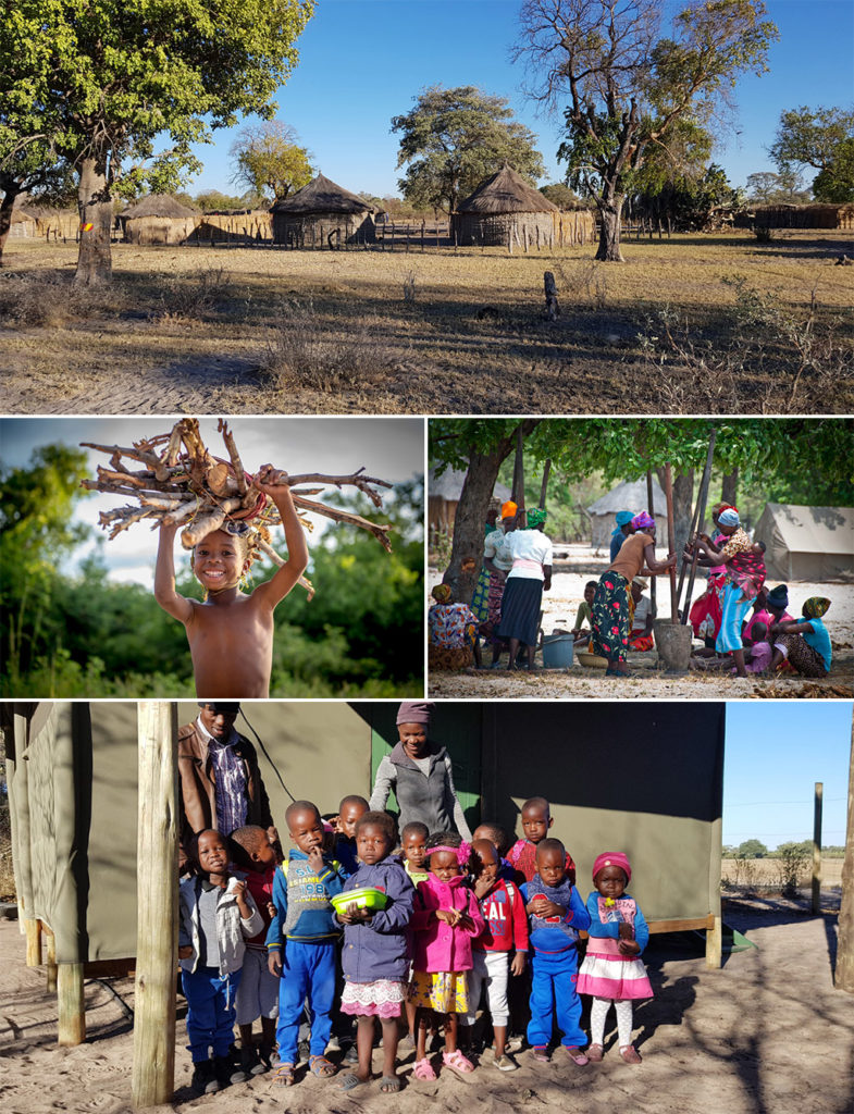 Life with elephants - Africa Geographic