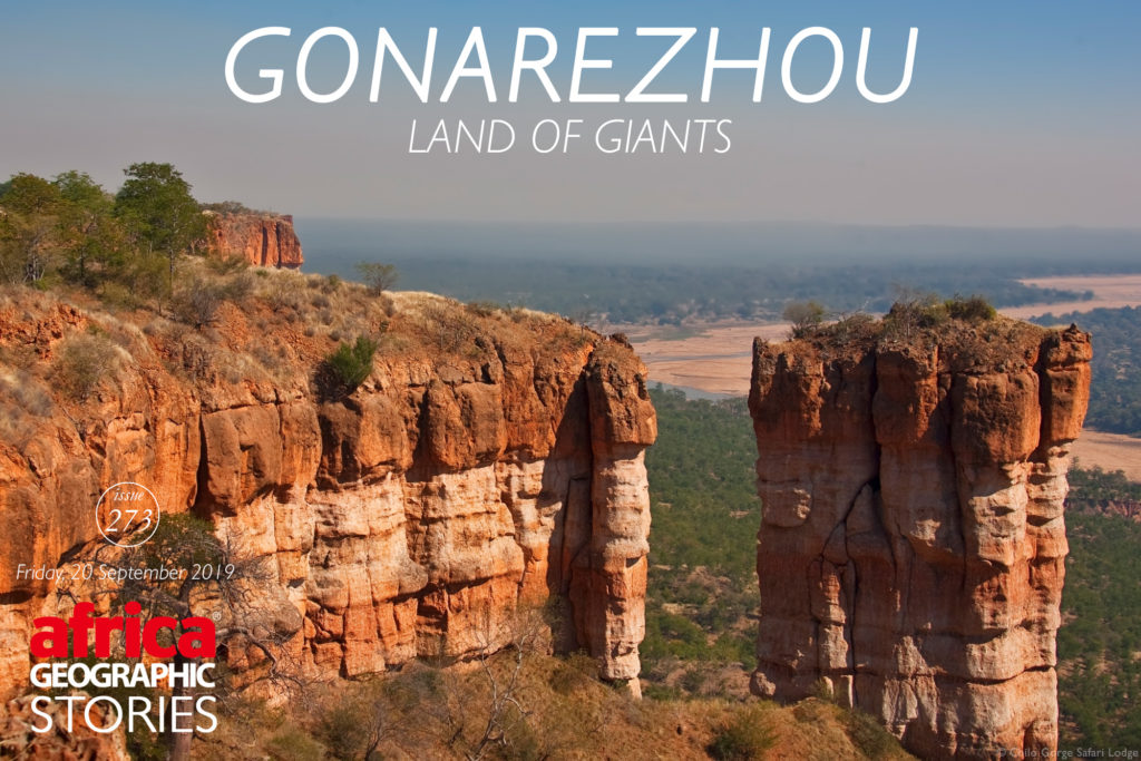 Gonarezhou – Land of Giants - Africa Geographic