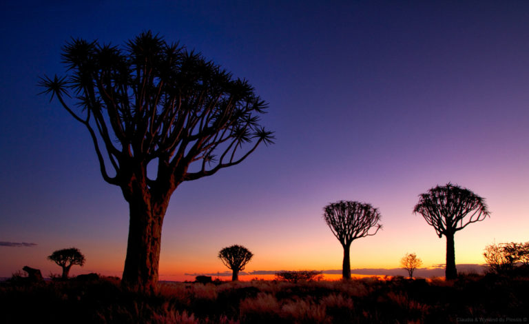 Visit Namibia with us