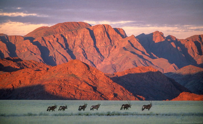 Visit Namibia with us