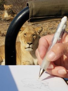 Experience an art safari in the Big 5 Greater Kruger - Africa Geographic