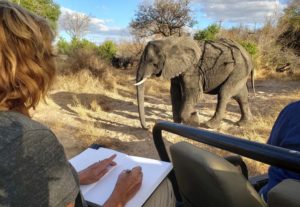 Experience an art safari in the Big 5 Greater Kruger - Africa Geographic
