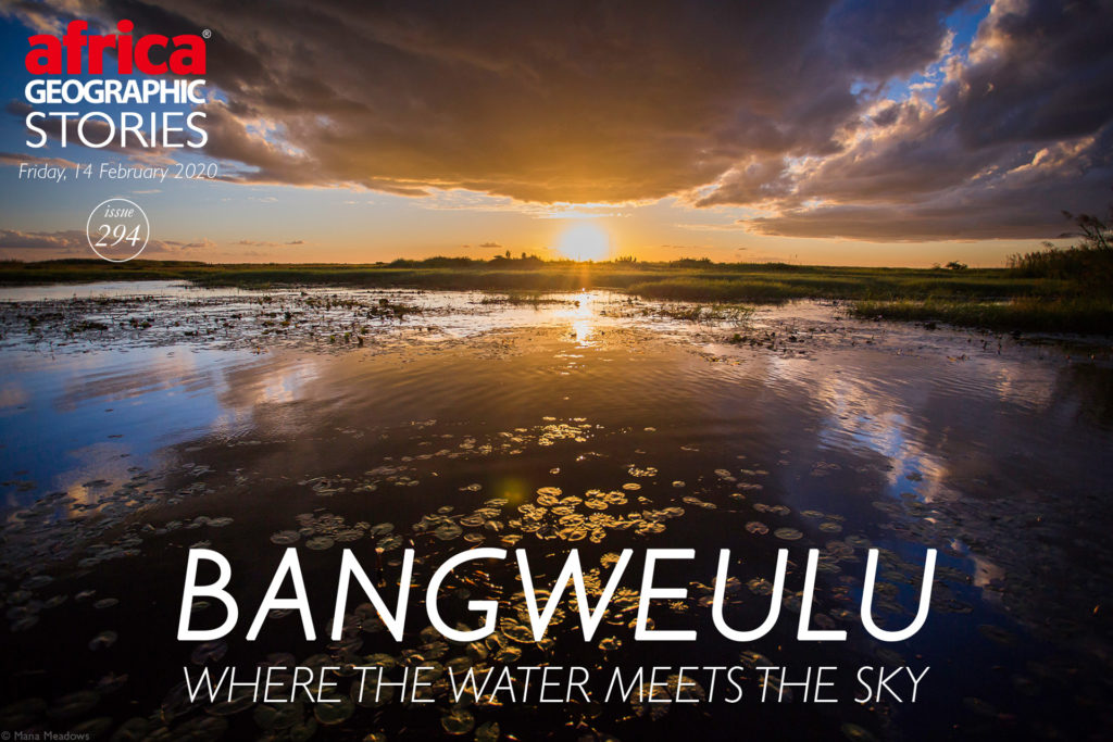 Bangweulu - where the water meets the sky - Africa Geographic