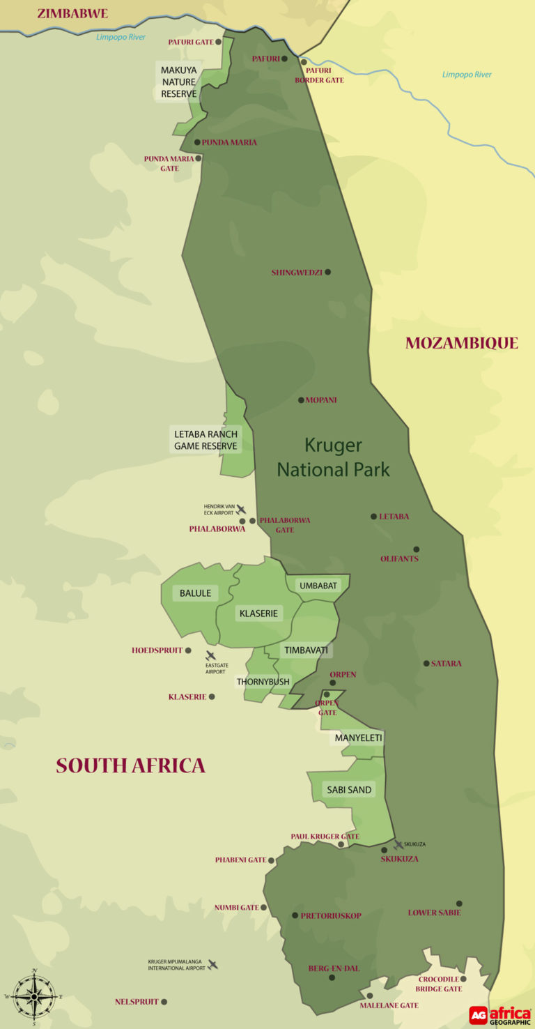 Join us on a Greater Kruger Big 5 safari