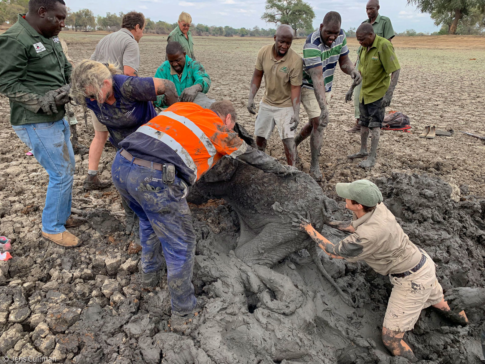 Baby elephants rescued – 11 incredible images - Africa Geographic