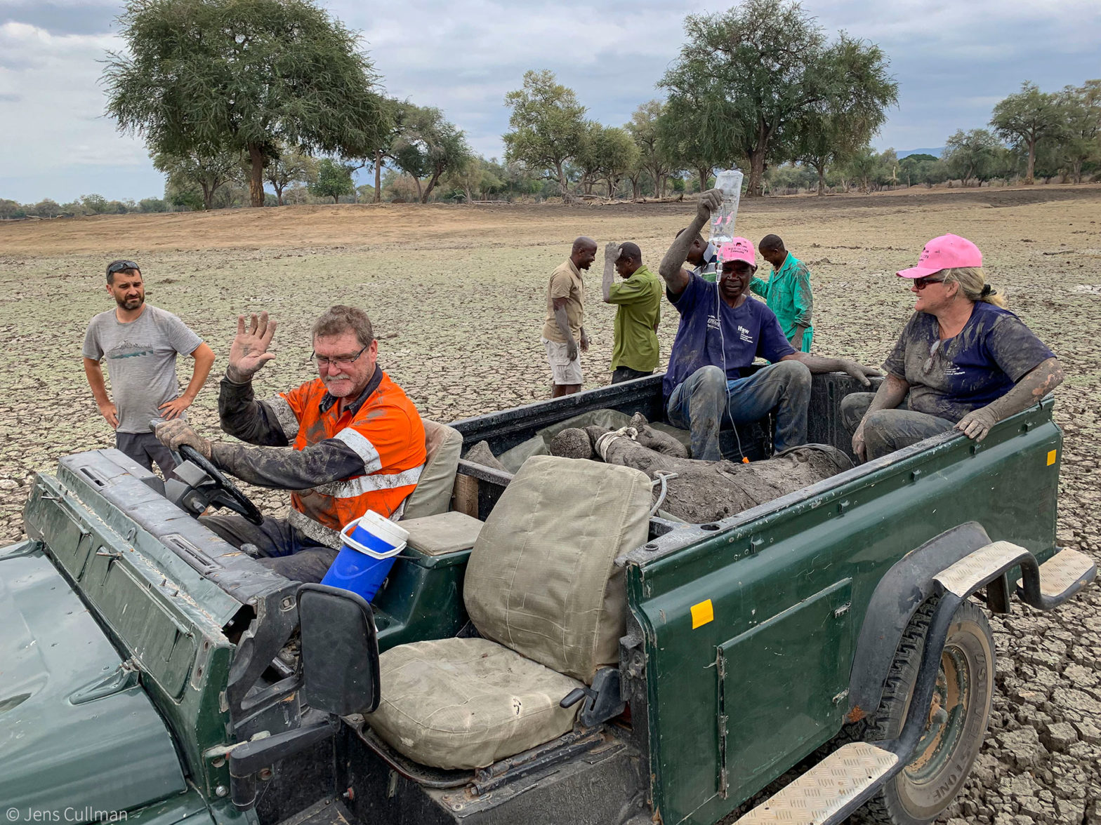 Baby elephants rescued – 11 incredible images - Africa Geographic