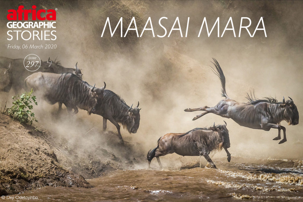 Your Maasai Mara safari
